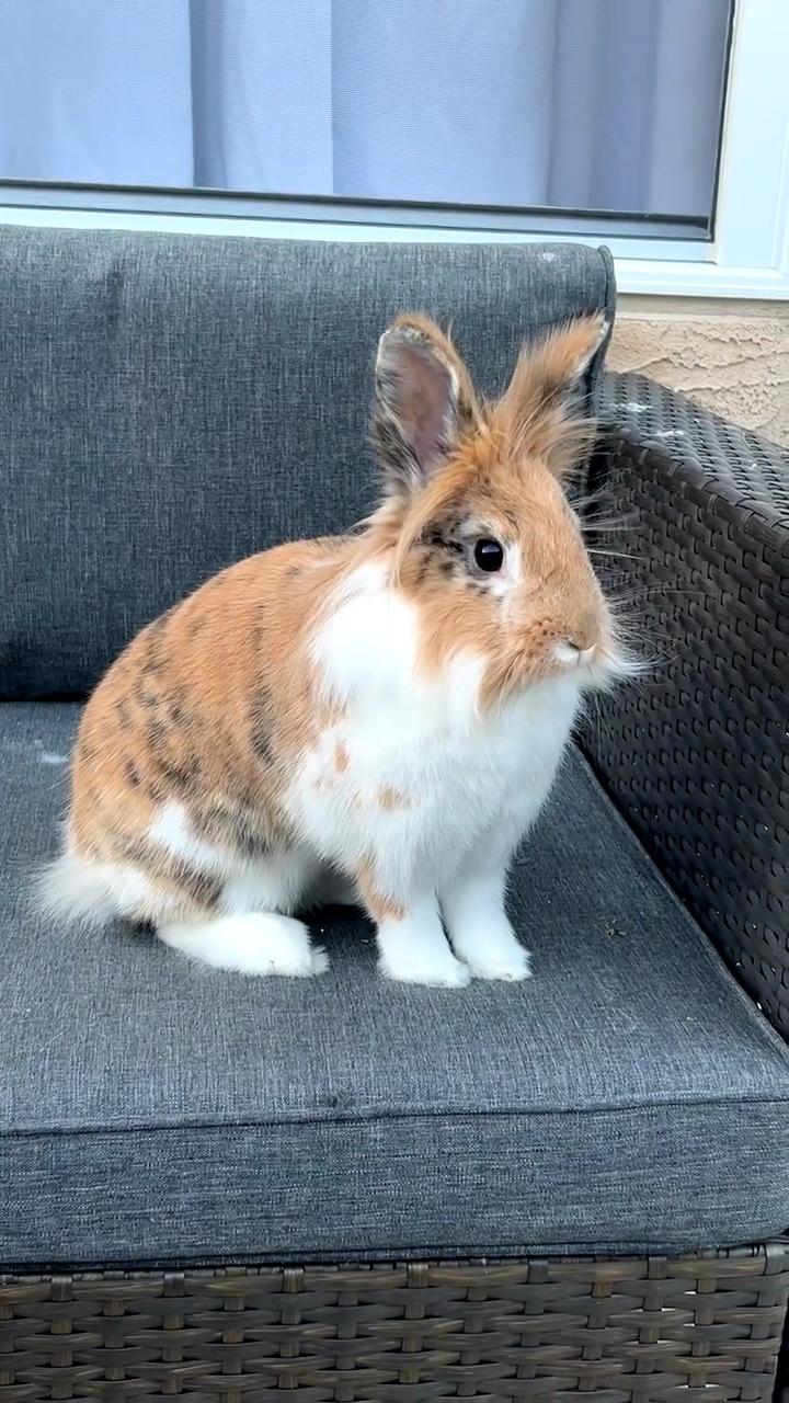 Instagram vs. Reality | Scrolller