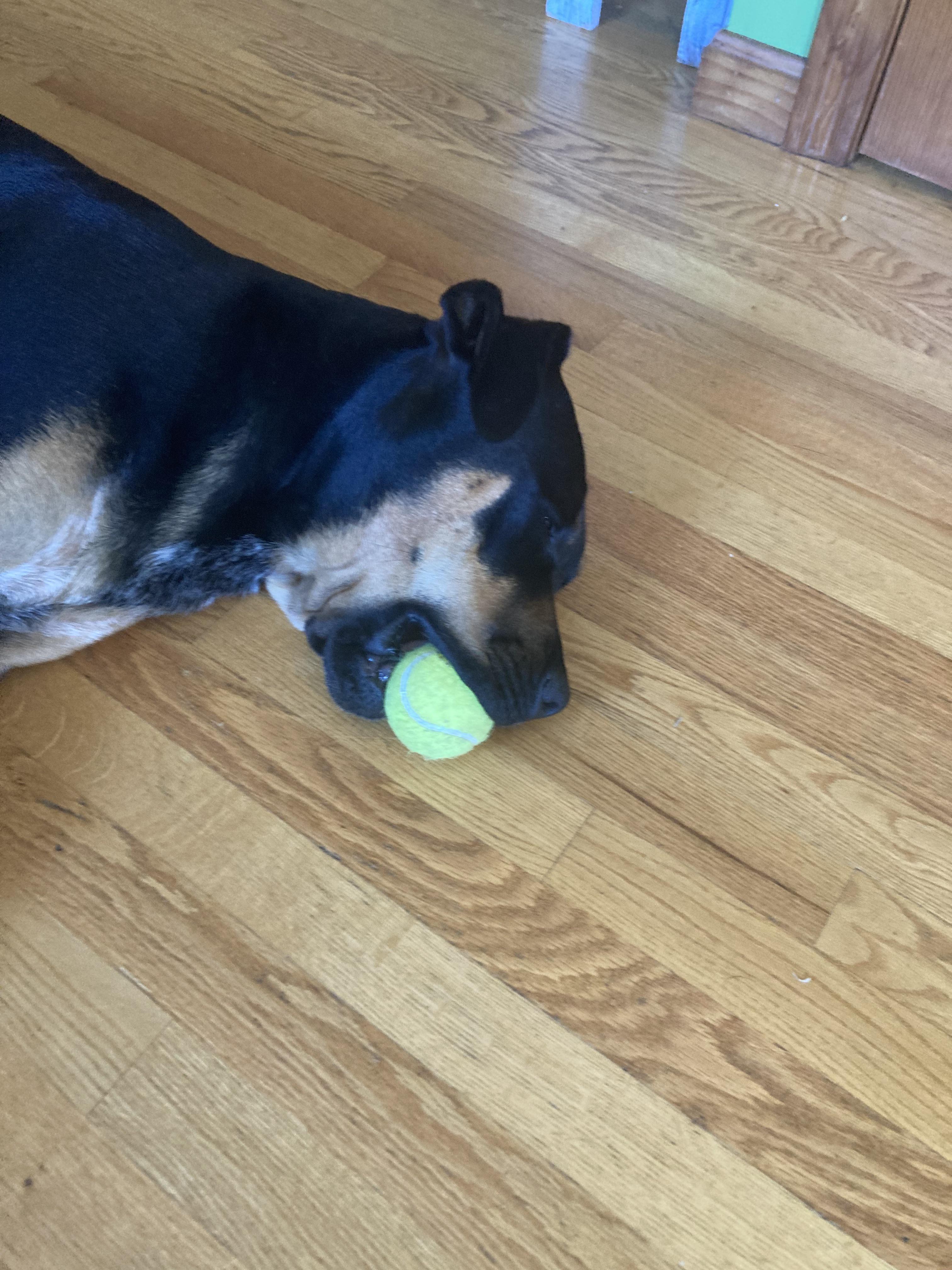 I think the picture speaks for itself. | Scrolller