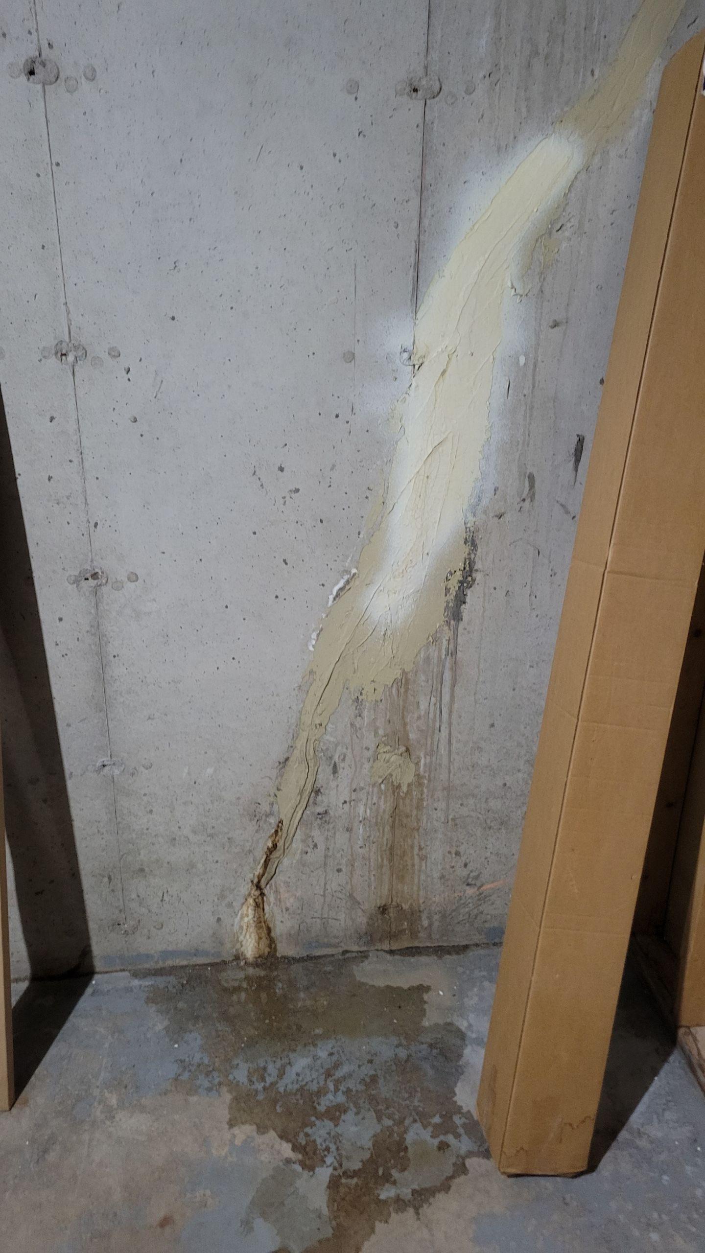 Basement Leak | Scrolller