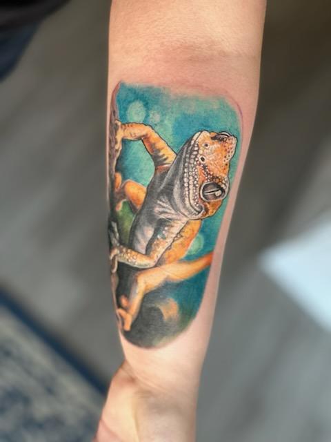 18th birthday present | Scrolller