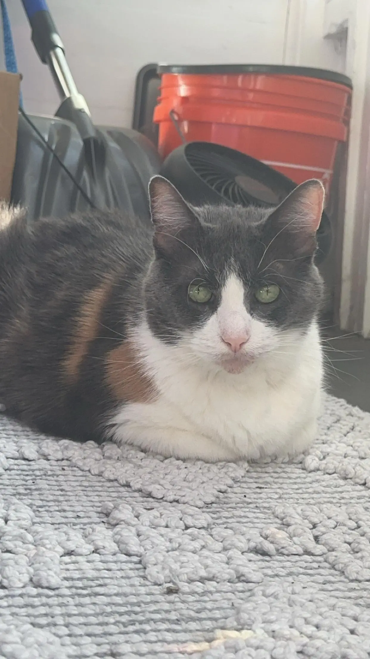 Sadie-loaf! | Scrolller