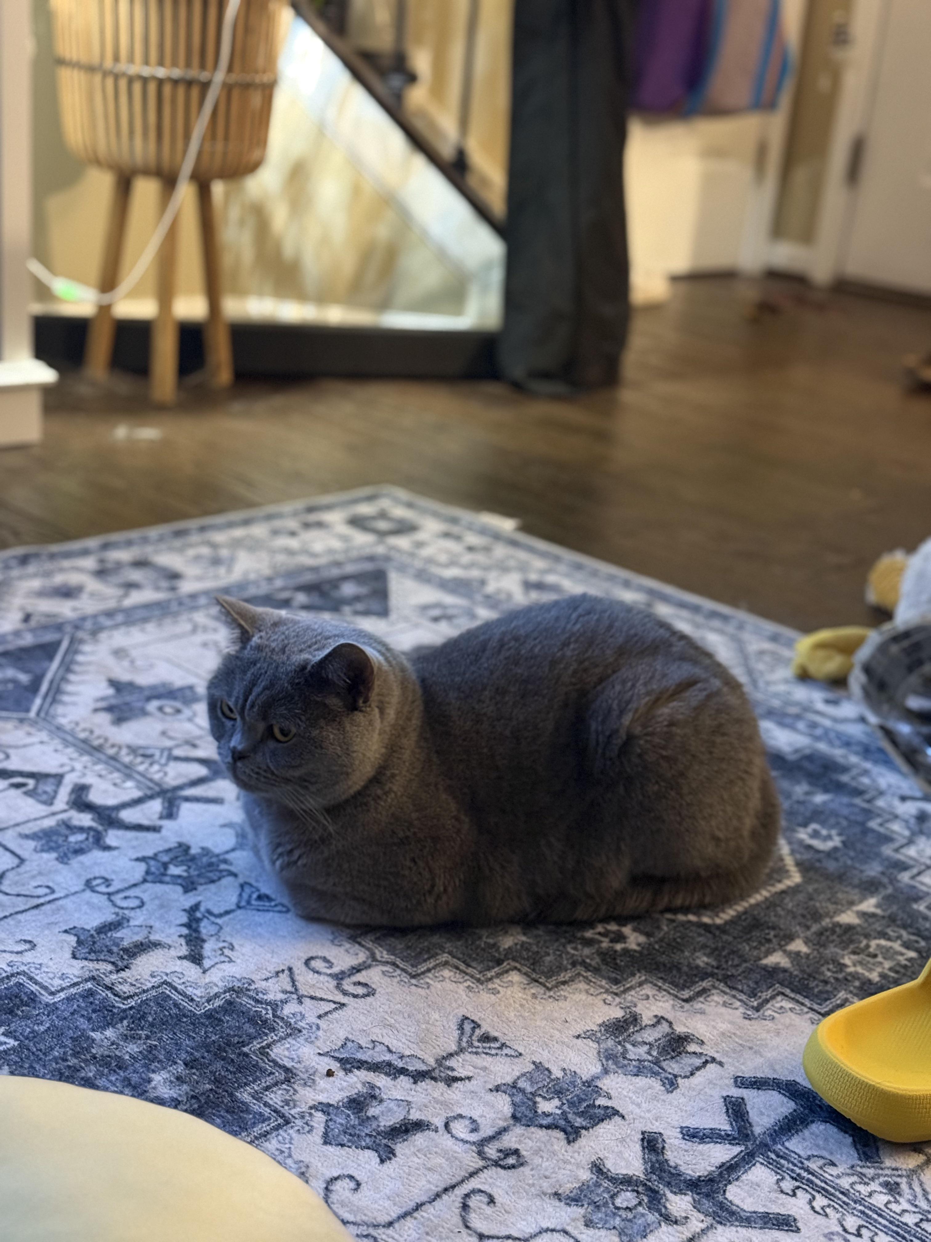 Saturday Night Loaf | Scrolller