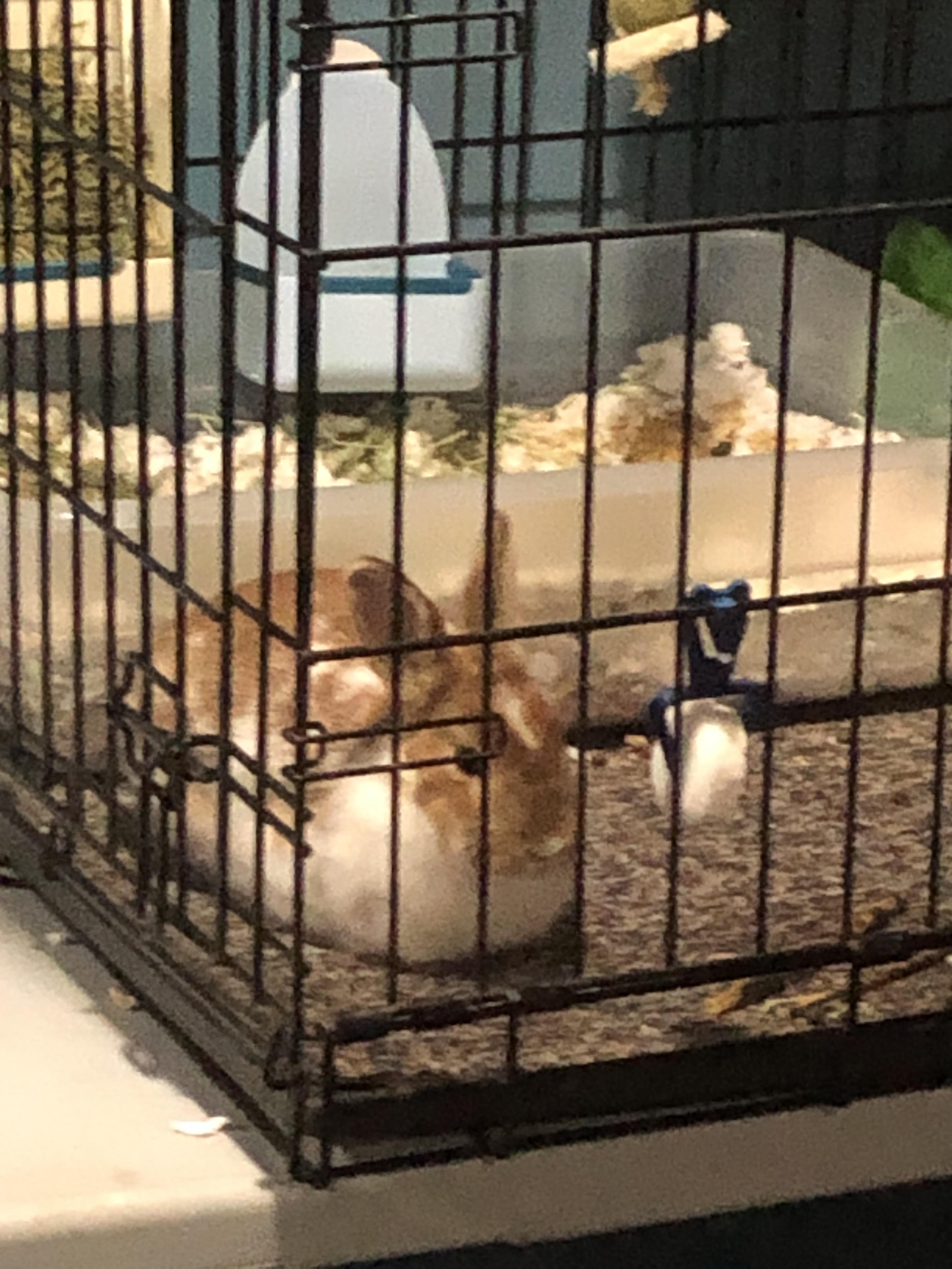 Say hello to Walter | Scrolller