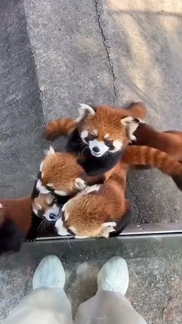 Say something | Scrolller