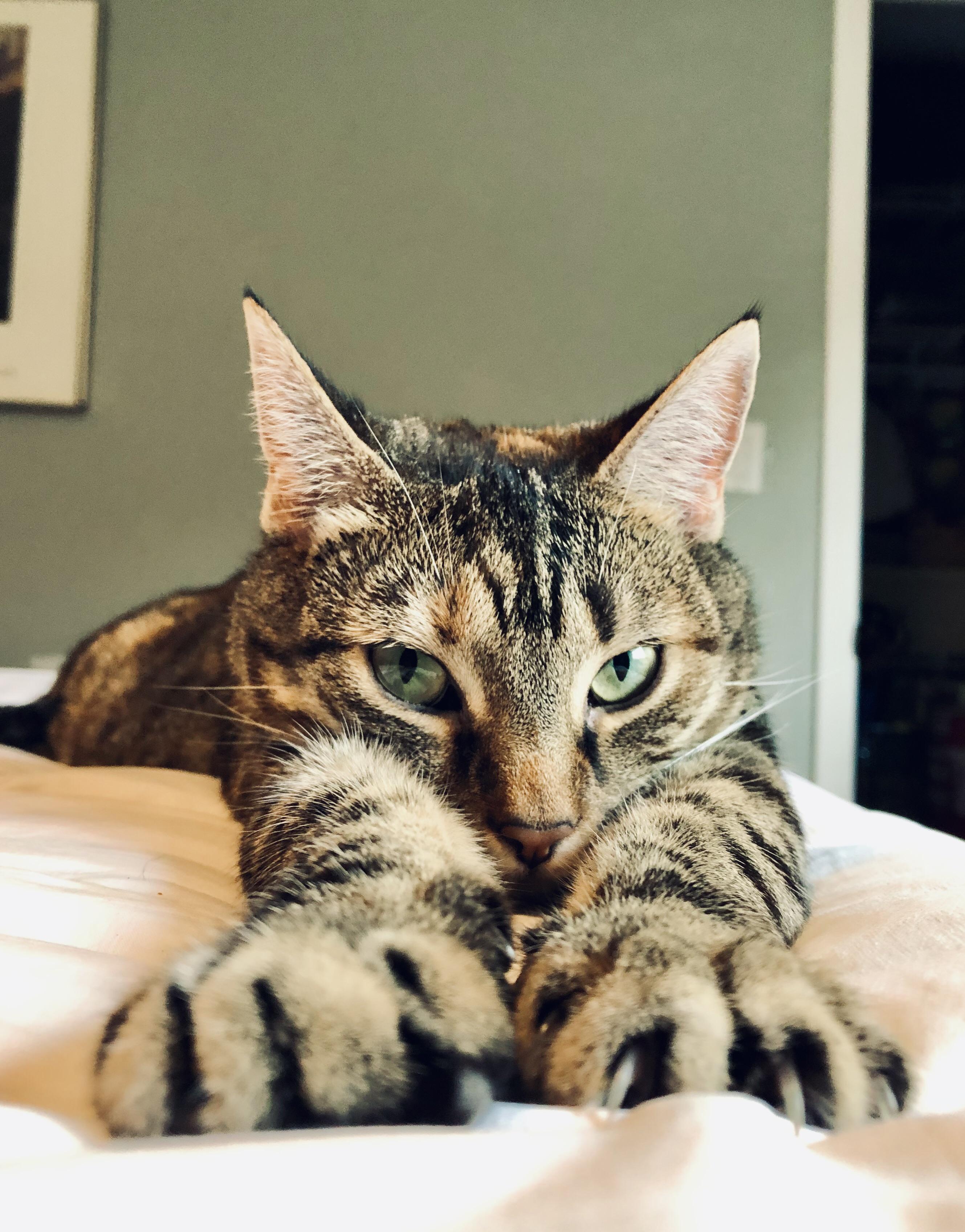 Scratchy loaf | Scrolller