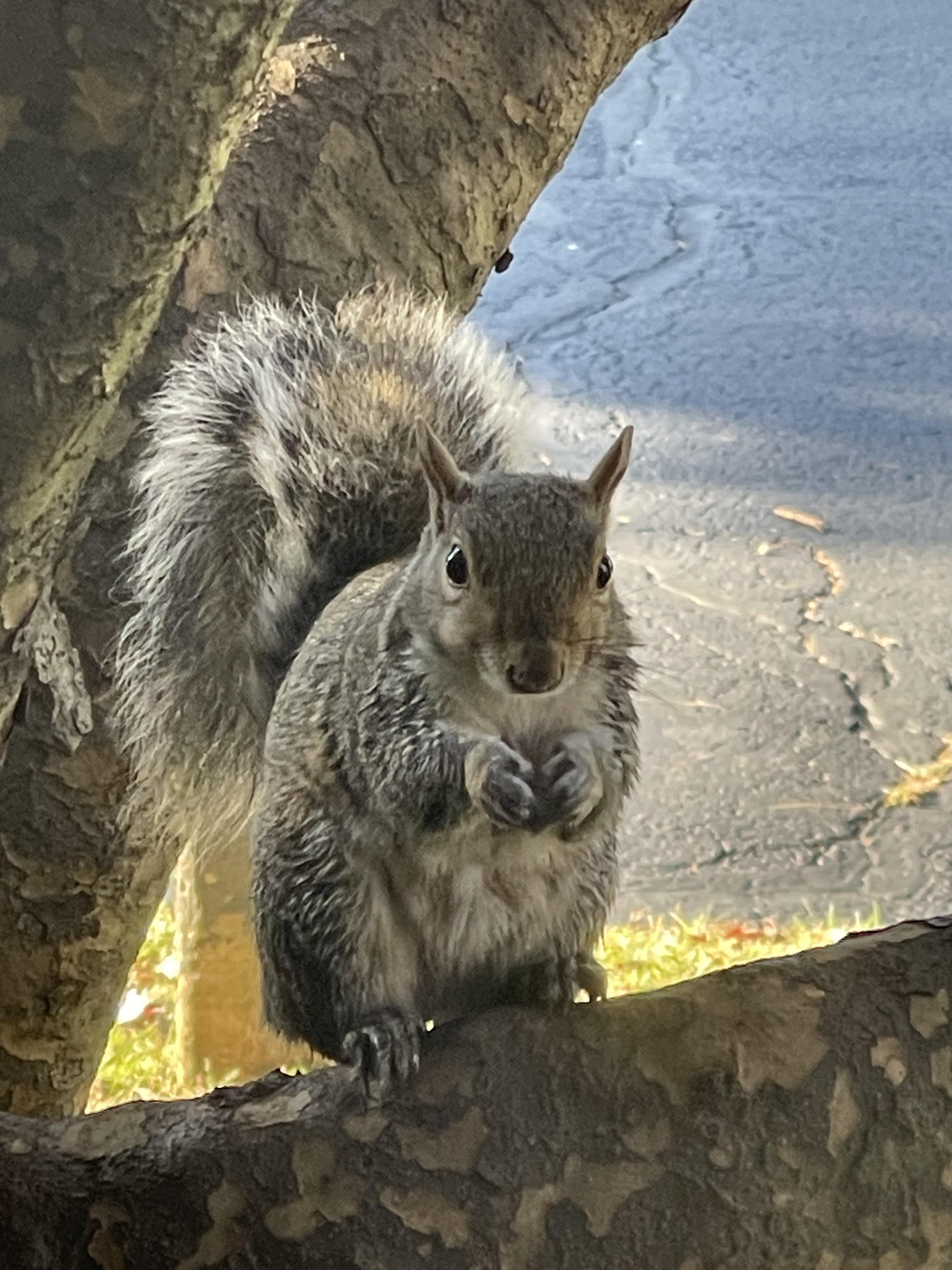 Harriet begging | Scrolller