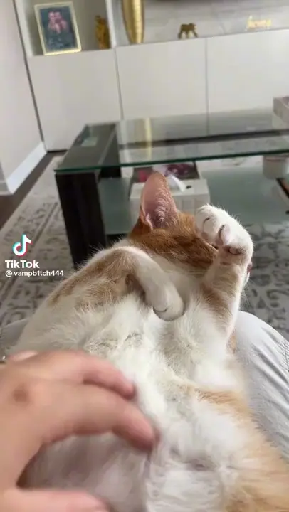 See ya later! | Scrolller