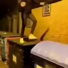 Self-defense mechanism activated | Scrolller