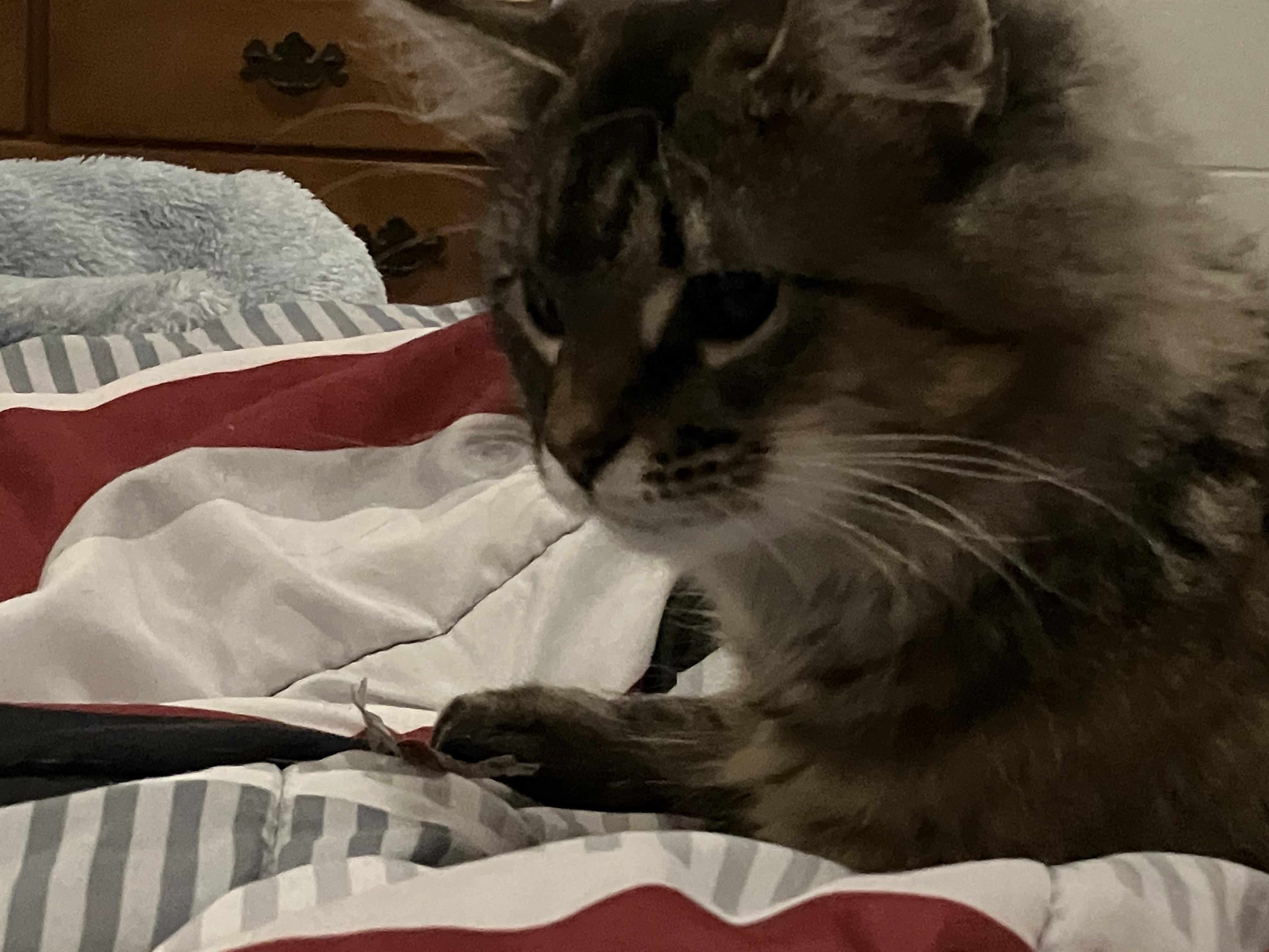 She does not know much | Scrolller