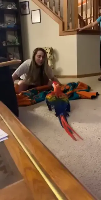 She Got Caught | Scrolller