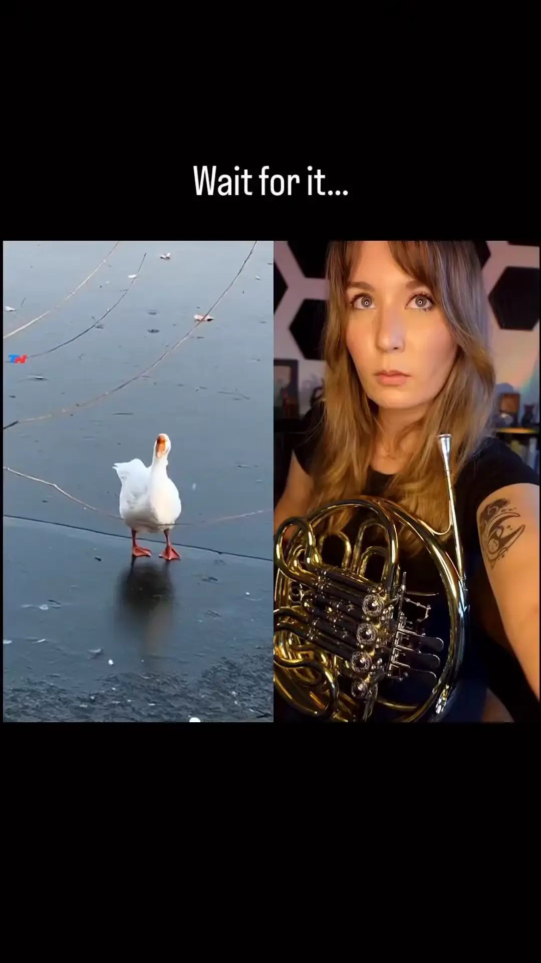 She is beauty, she is grace | Scrolller