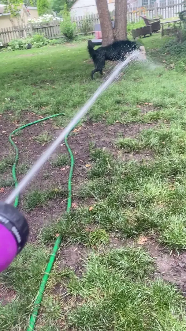 She loves the hose | Scrolller