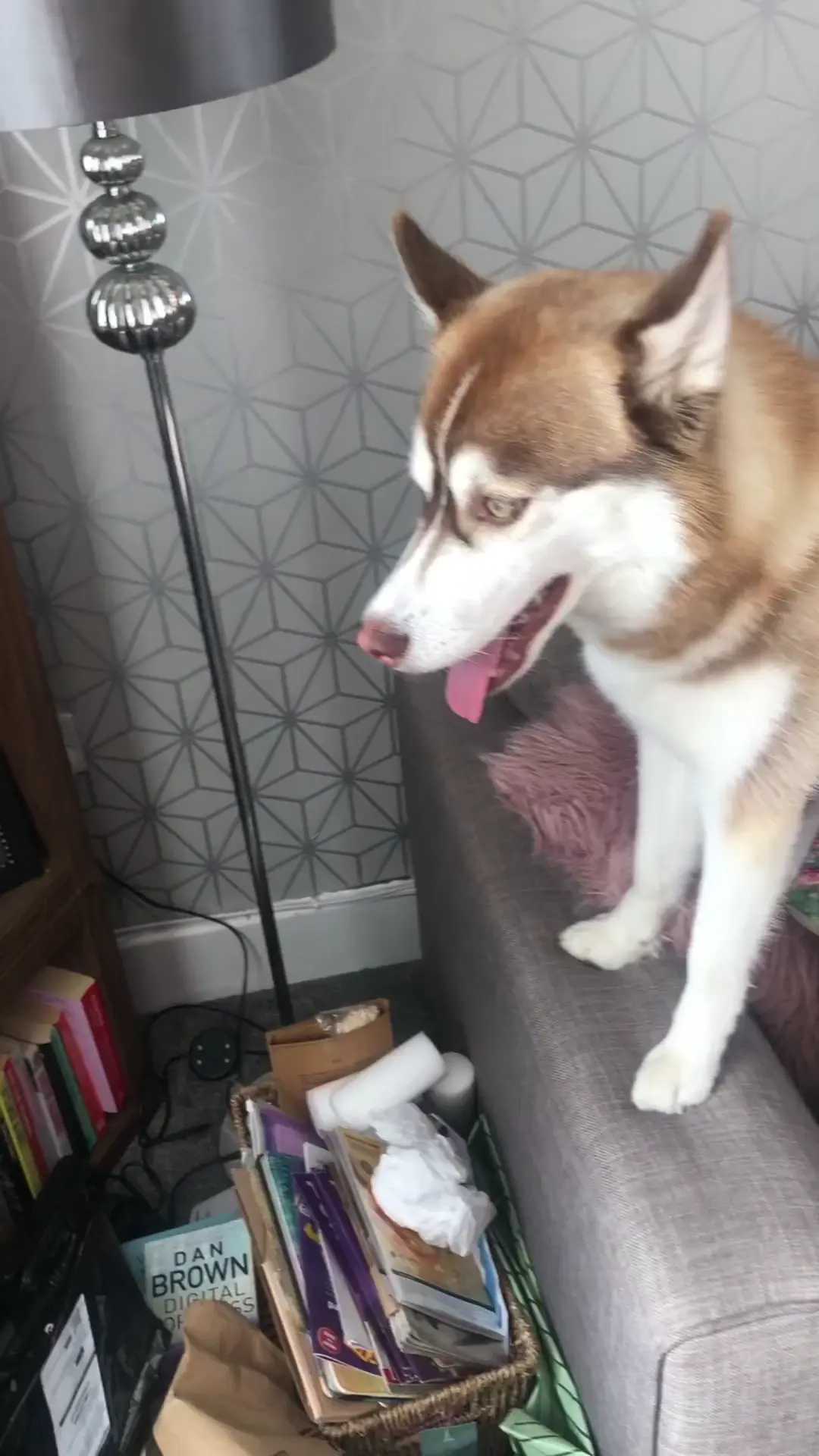 She makes weird noises | Scrolller