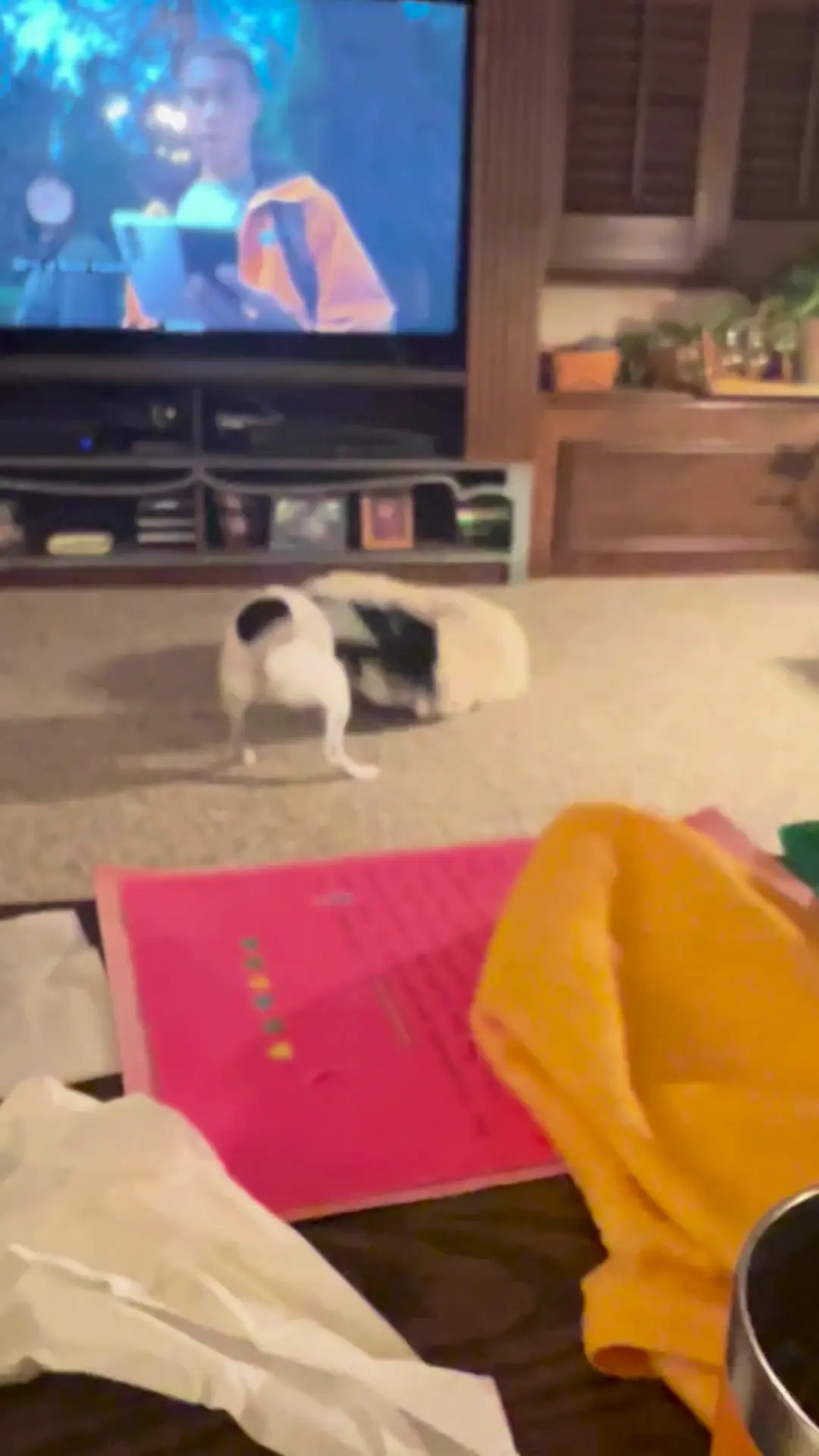 She’s…special | Scrolller