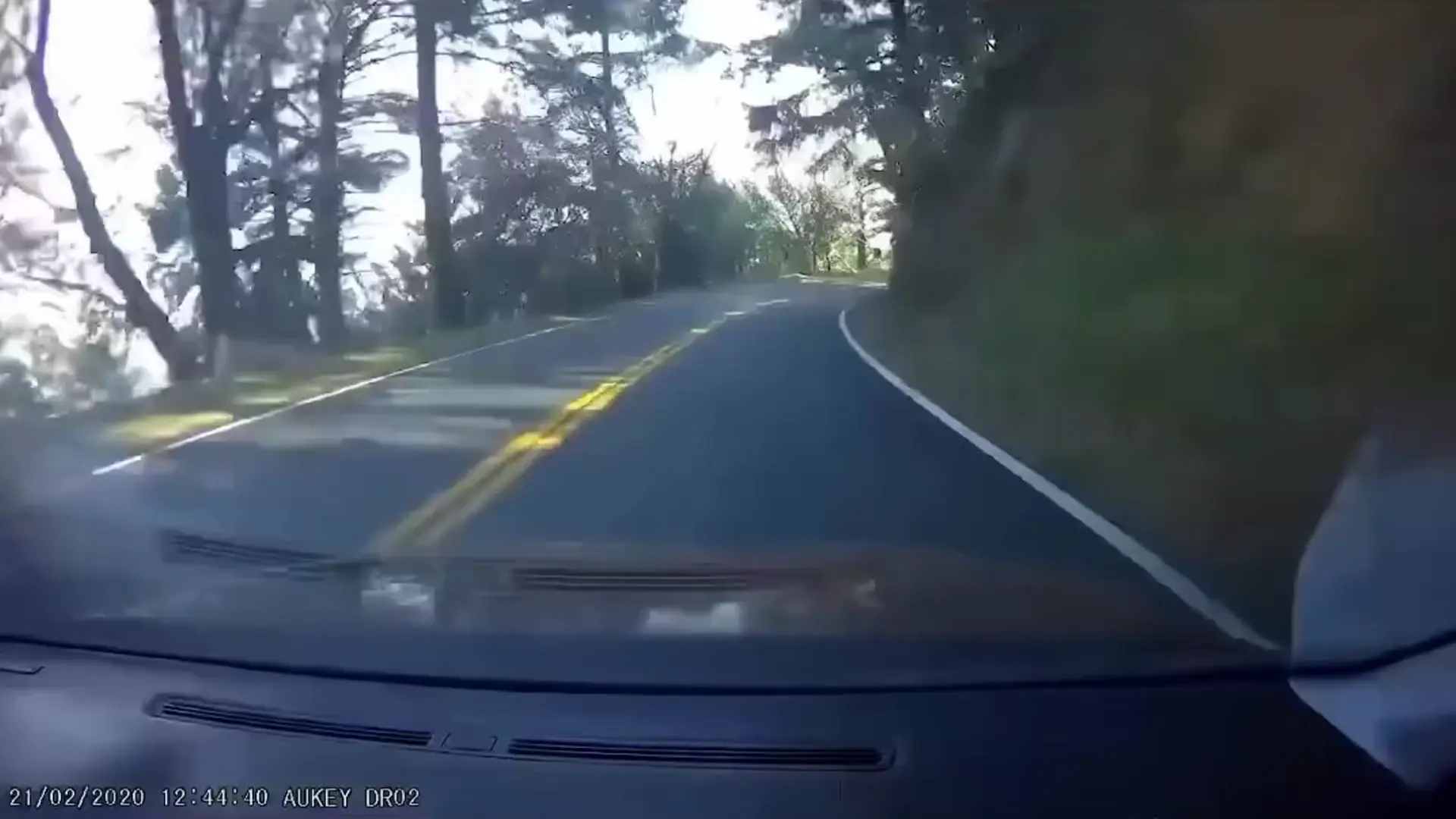 She Survived Scrolller