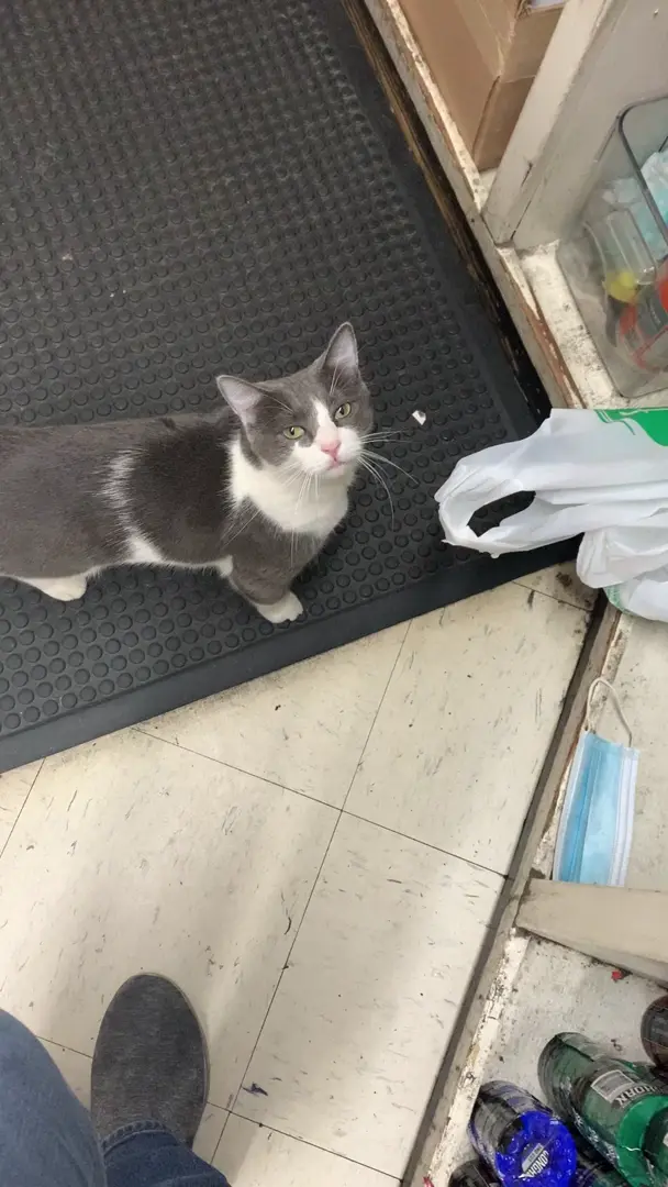 She wanted more attention.... | Scrolller