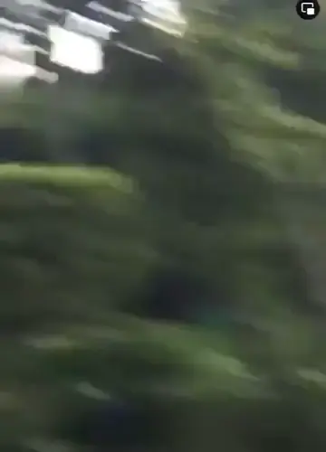 Shooting a metallic ribbons just right below the power lines | Scrolller