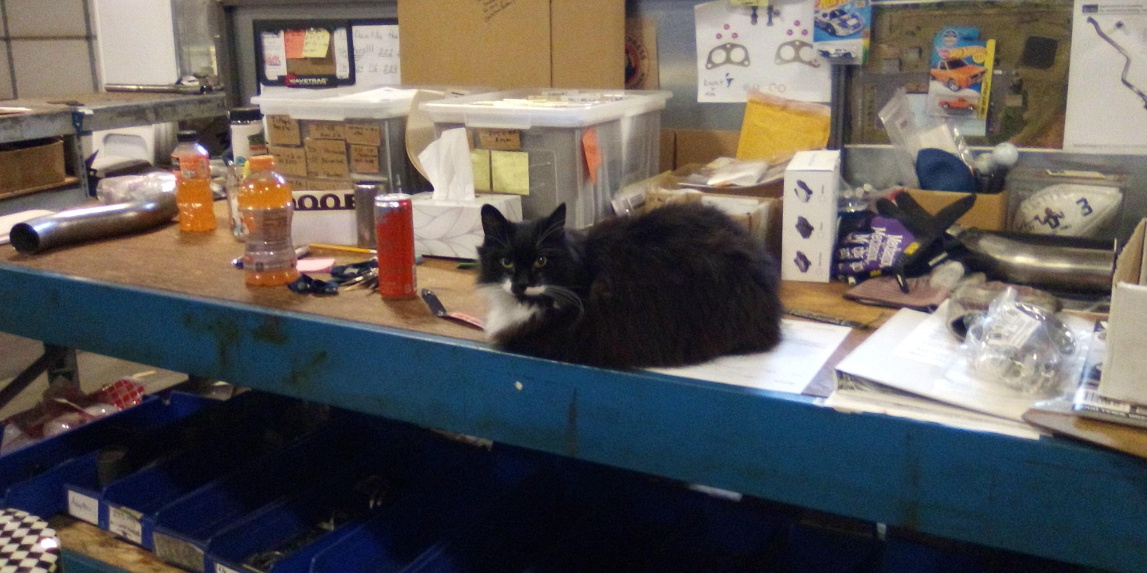 Shop loaf. | Scrolller