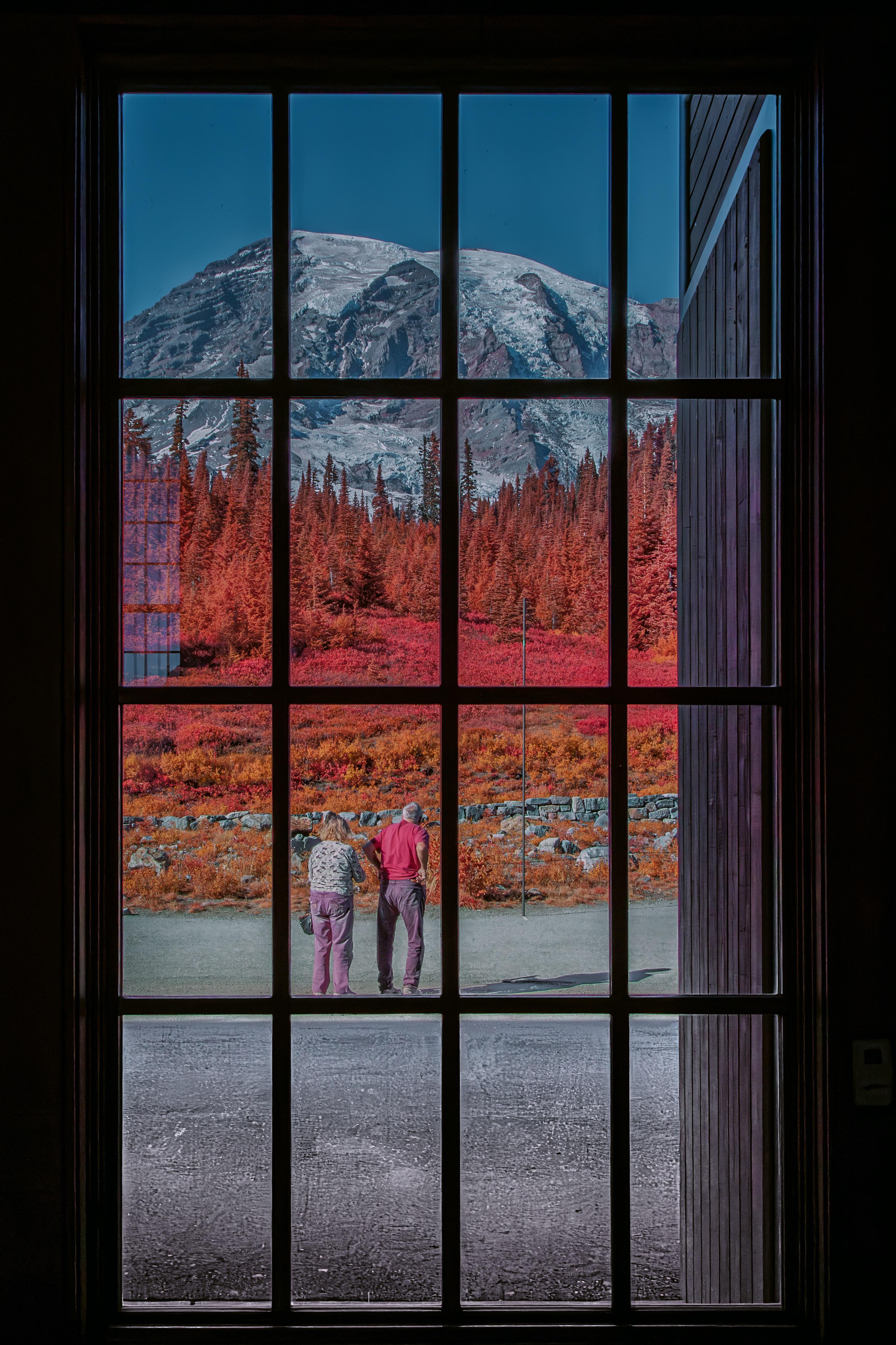 Shot some infrared at Mount Rainier National Park this weekend | Scrolller