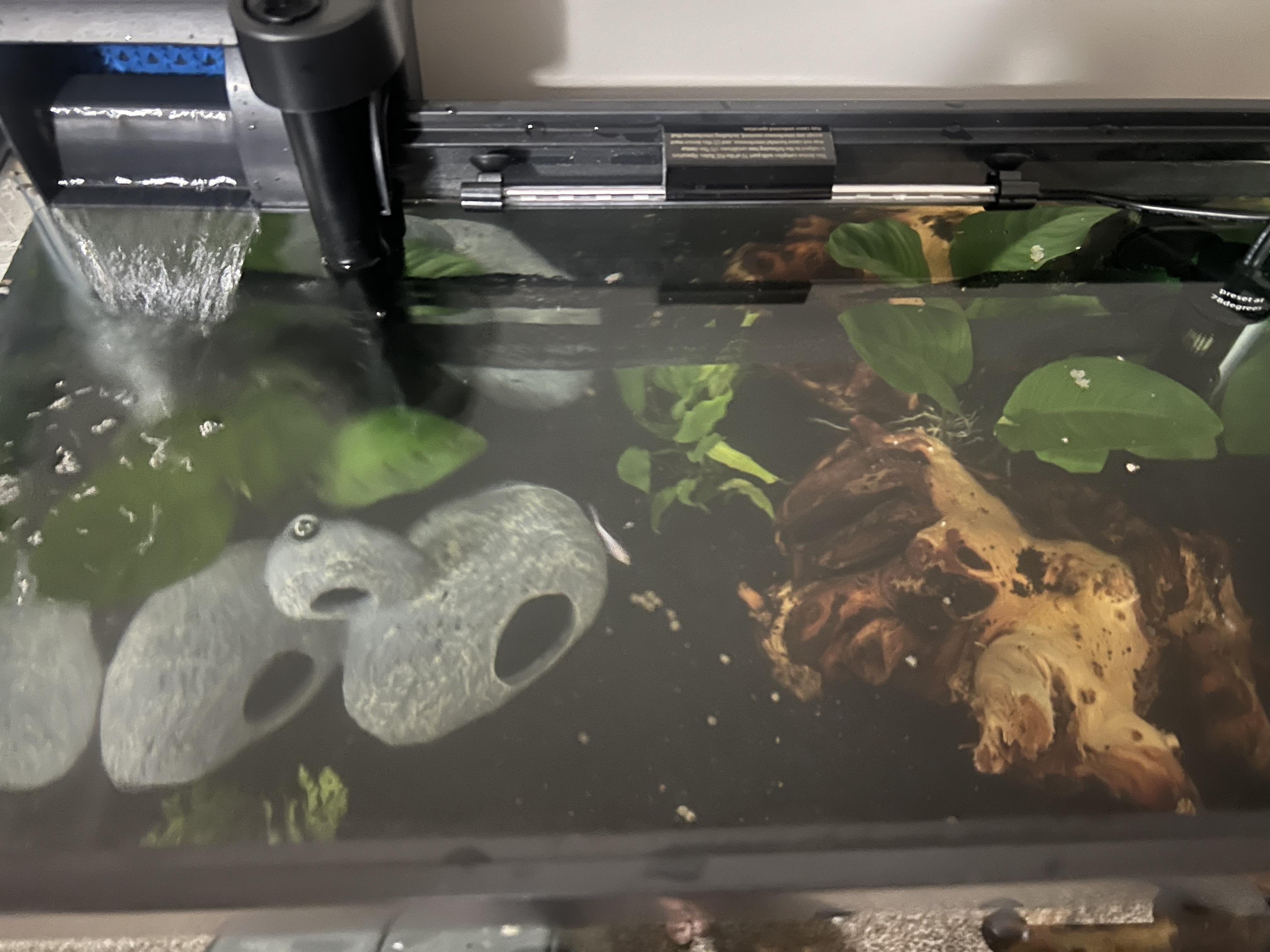 Beginner, does this tank look decent? | Scrolller