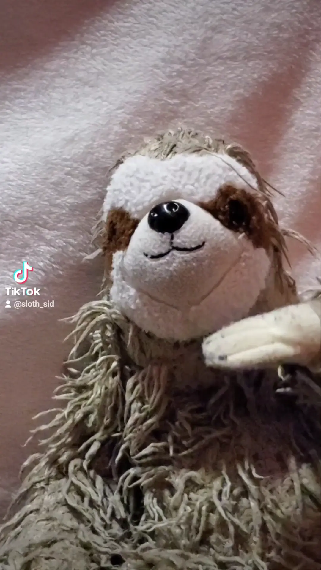 Sid Sloth | Scrolller