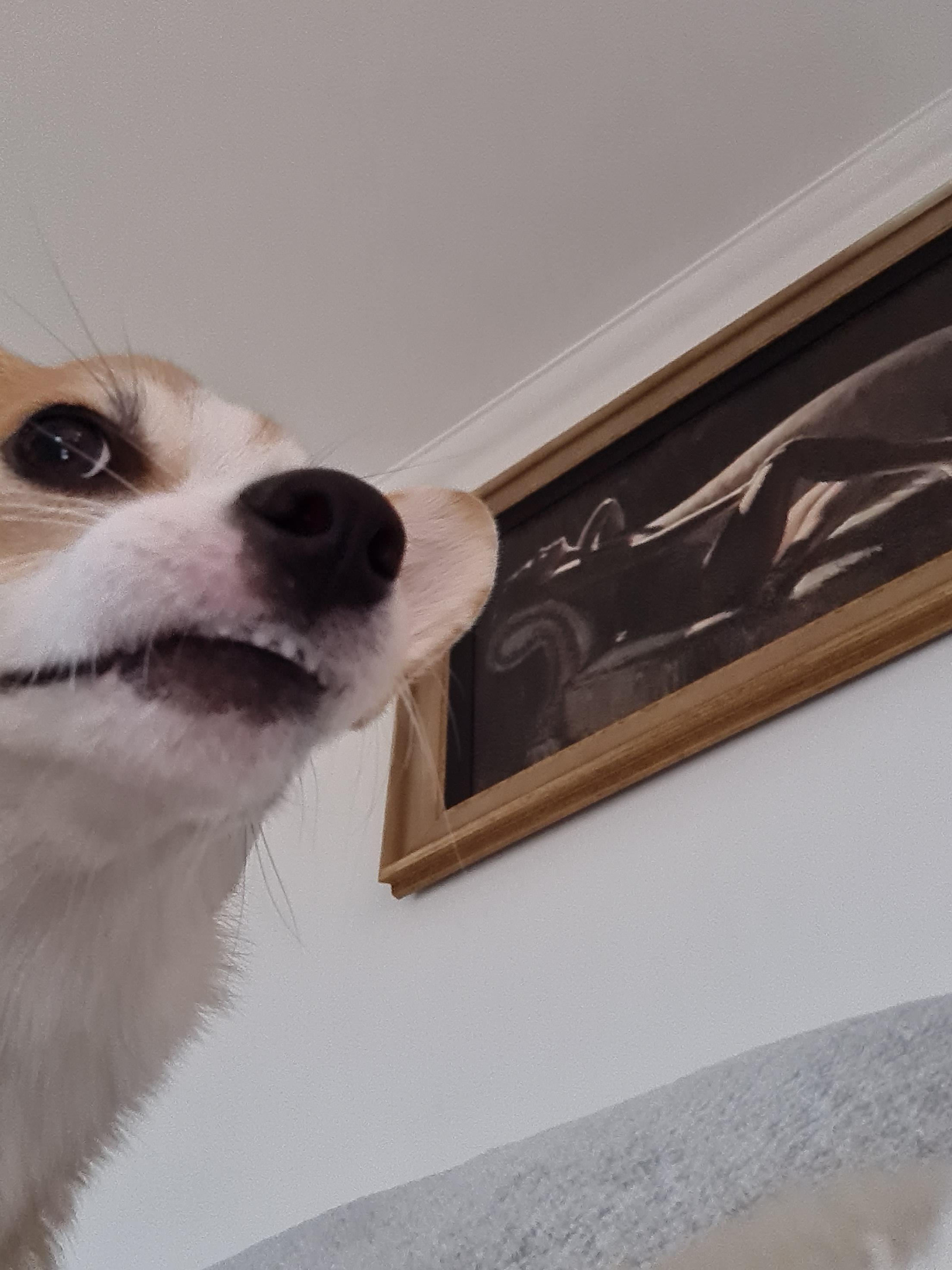 Sid the sloth impression | Scrolller