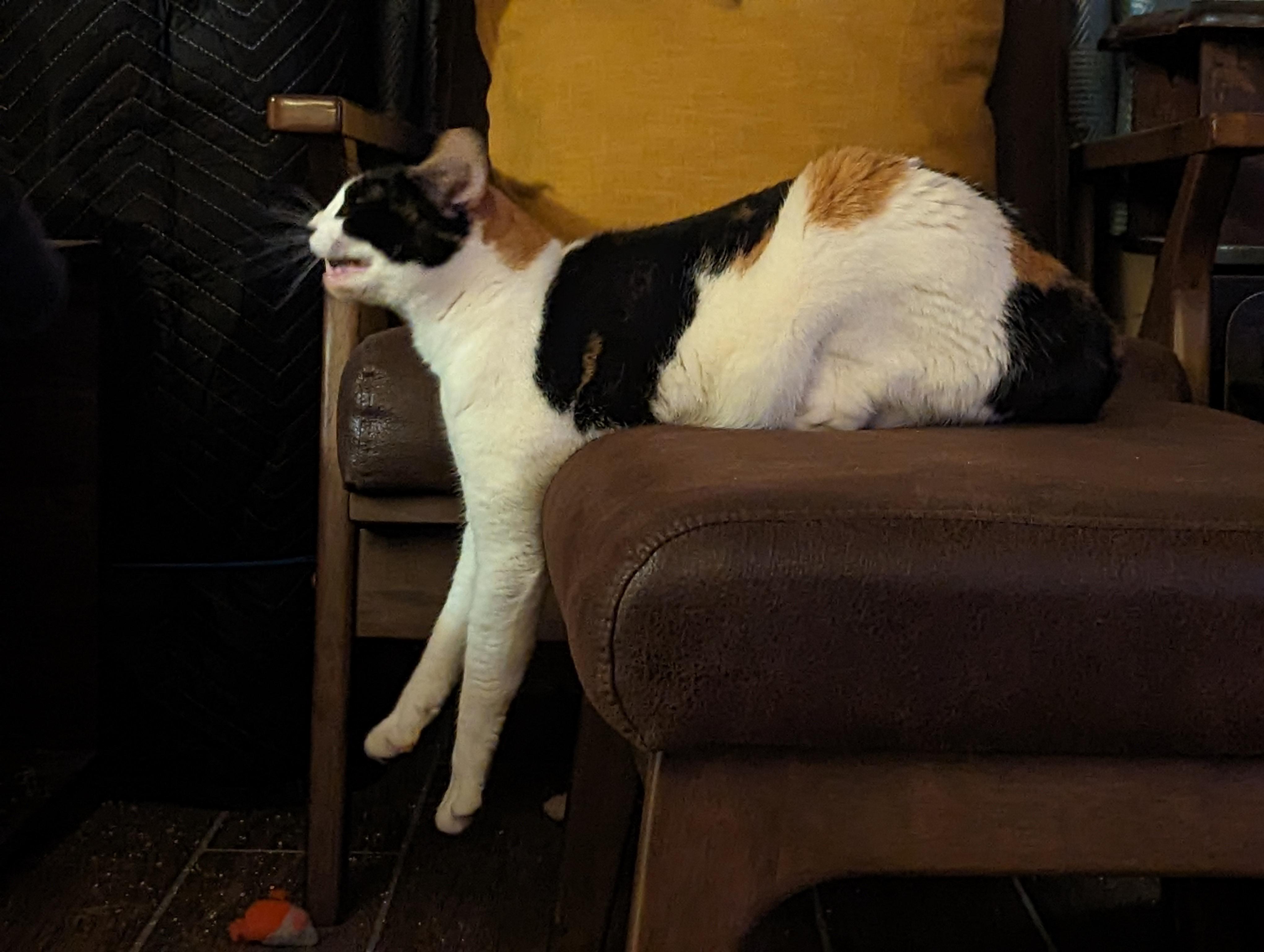 Side scrunge with a dose of dangle | Scrolller