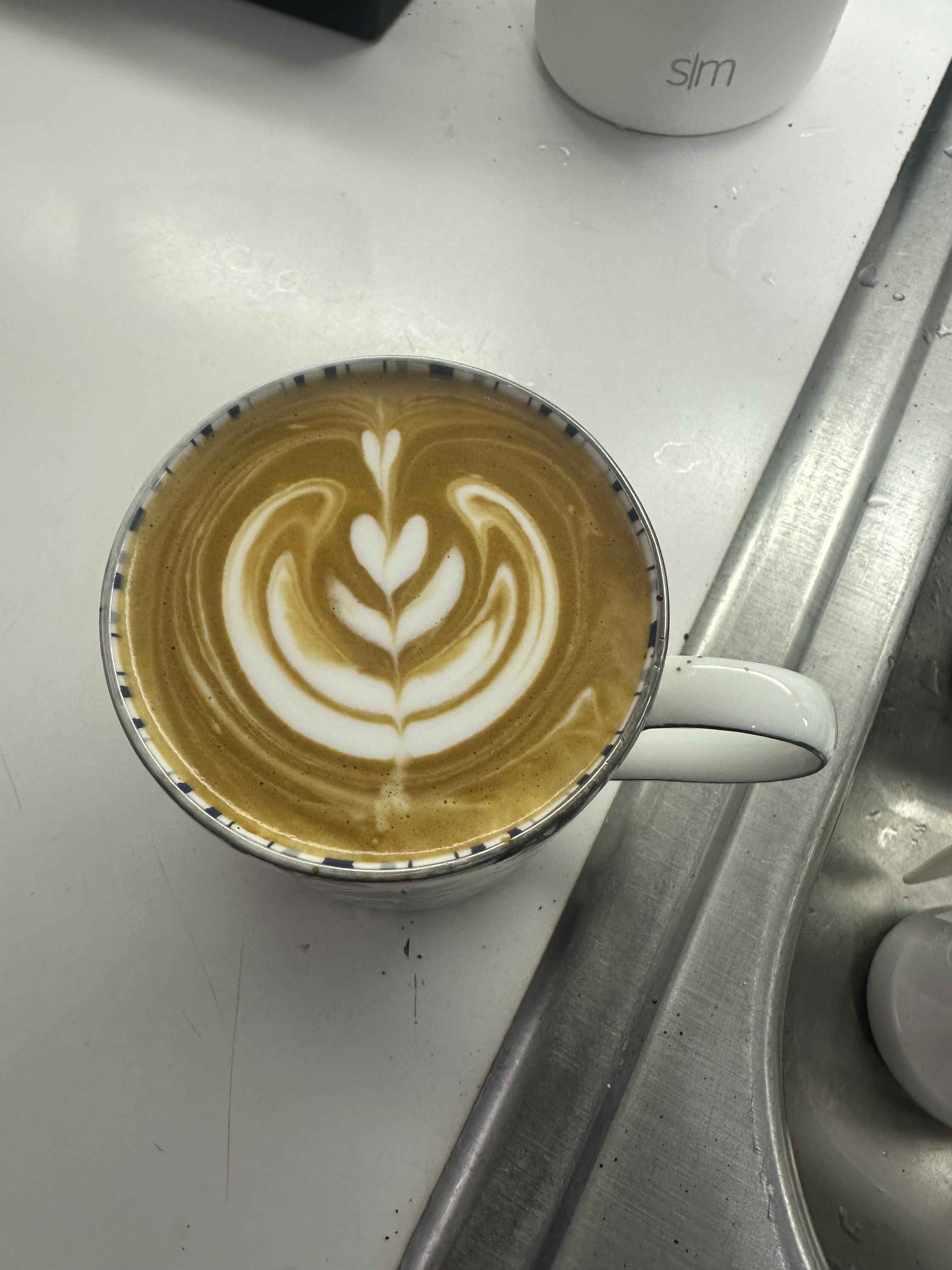 Simple Tulip | Scrolller