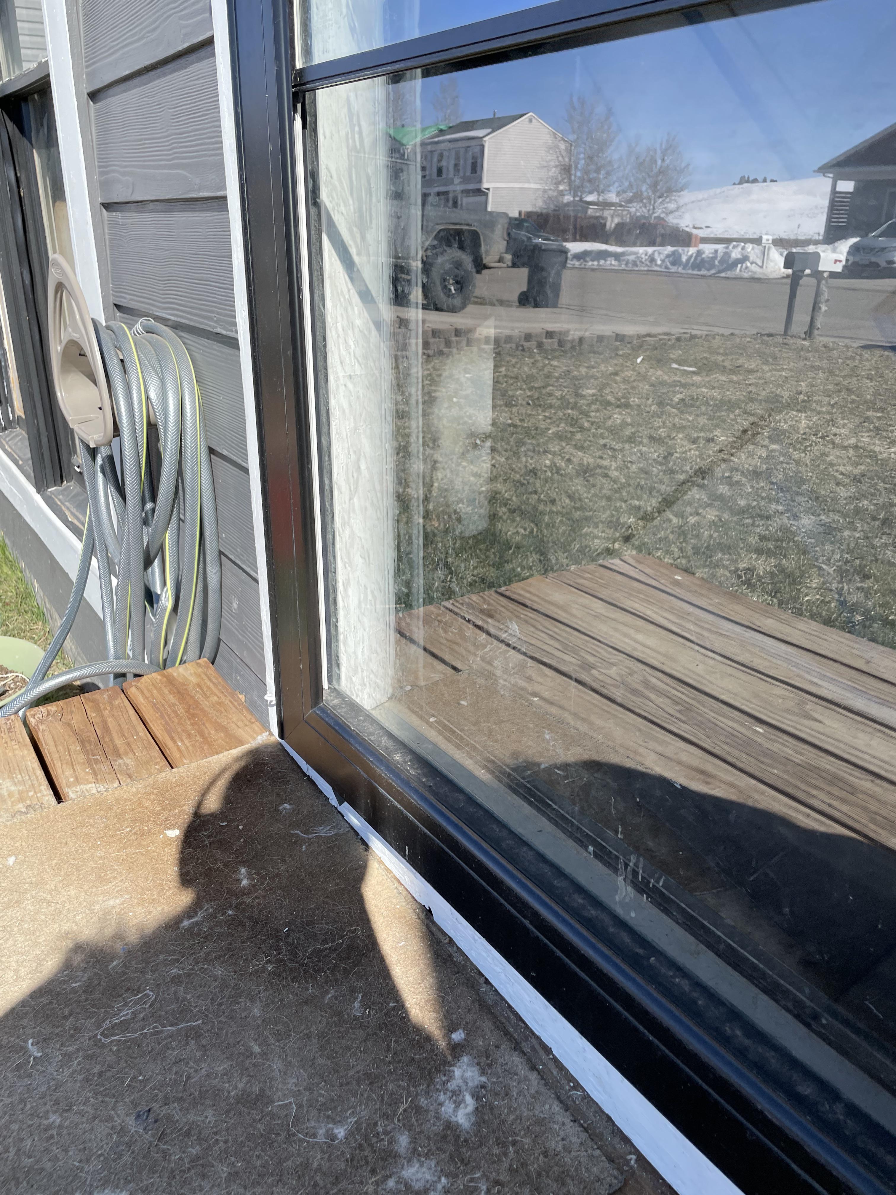 Simpson is plotting to kill me | Scrolller