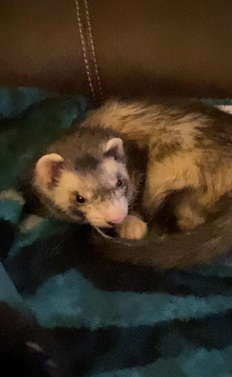 Colors & Patterns | Scrolller