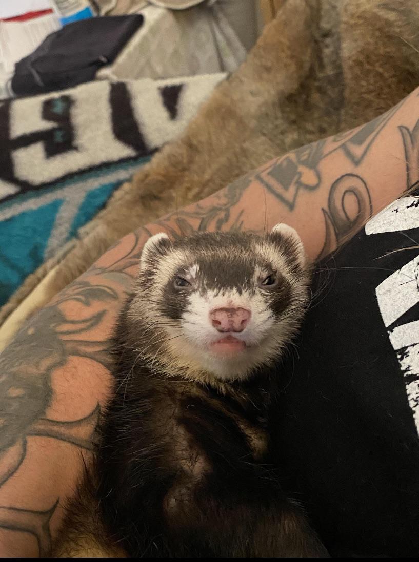 Colors & Patterns | Scrolller