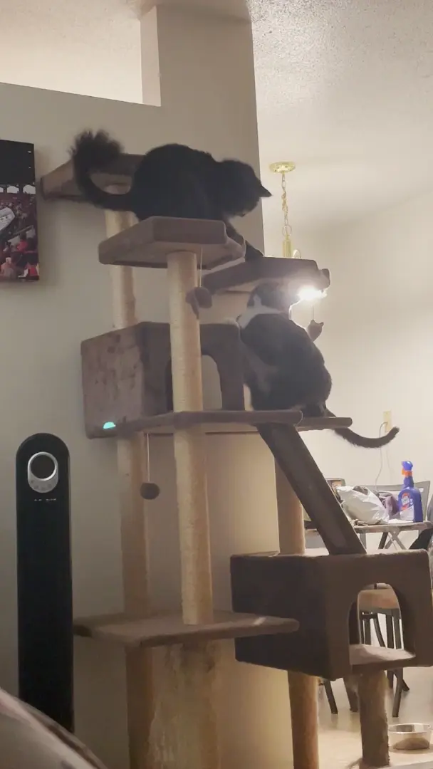 Slaps and taps | Scrolller