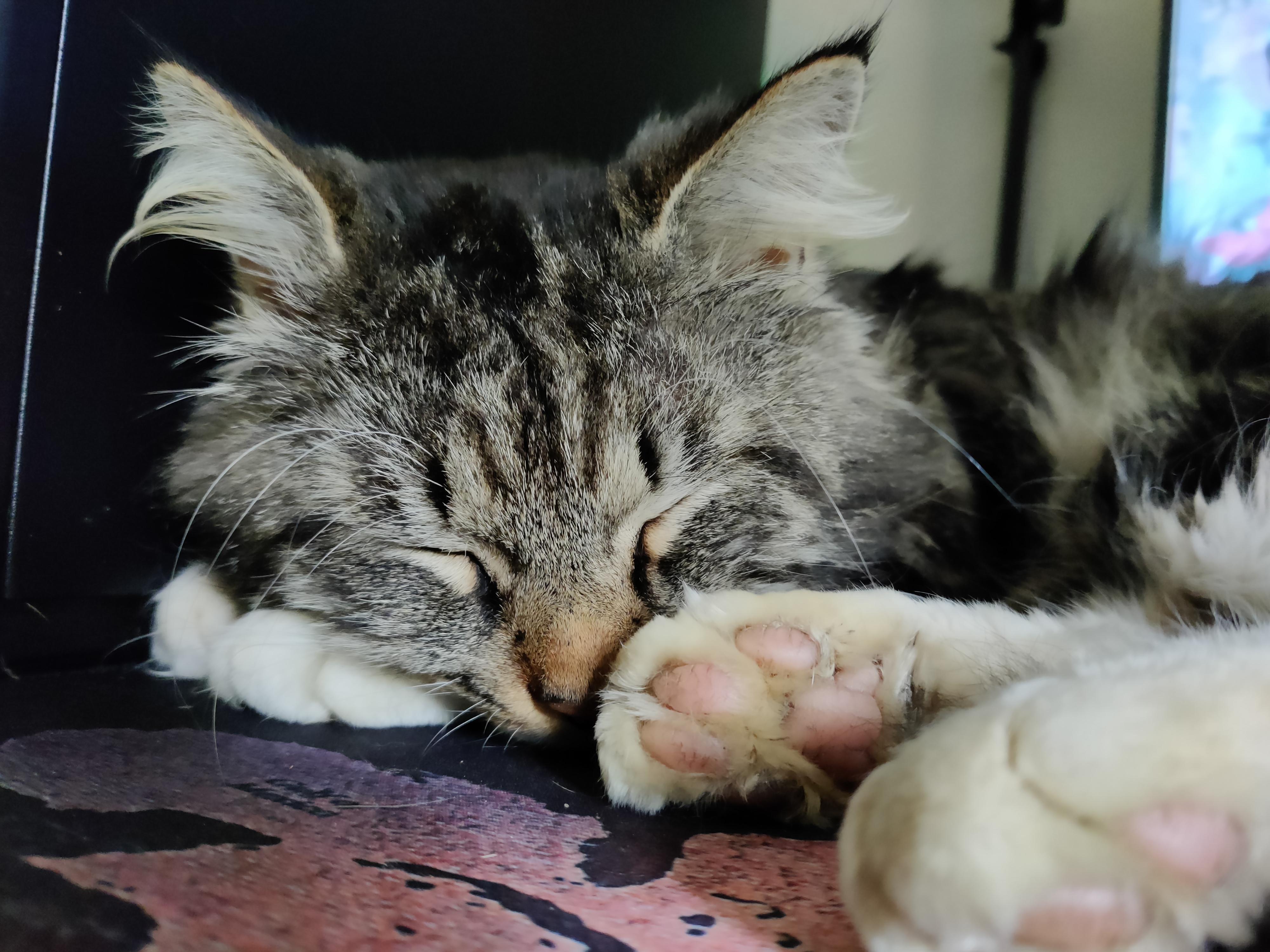 Sleep and beans | Scrolller