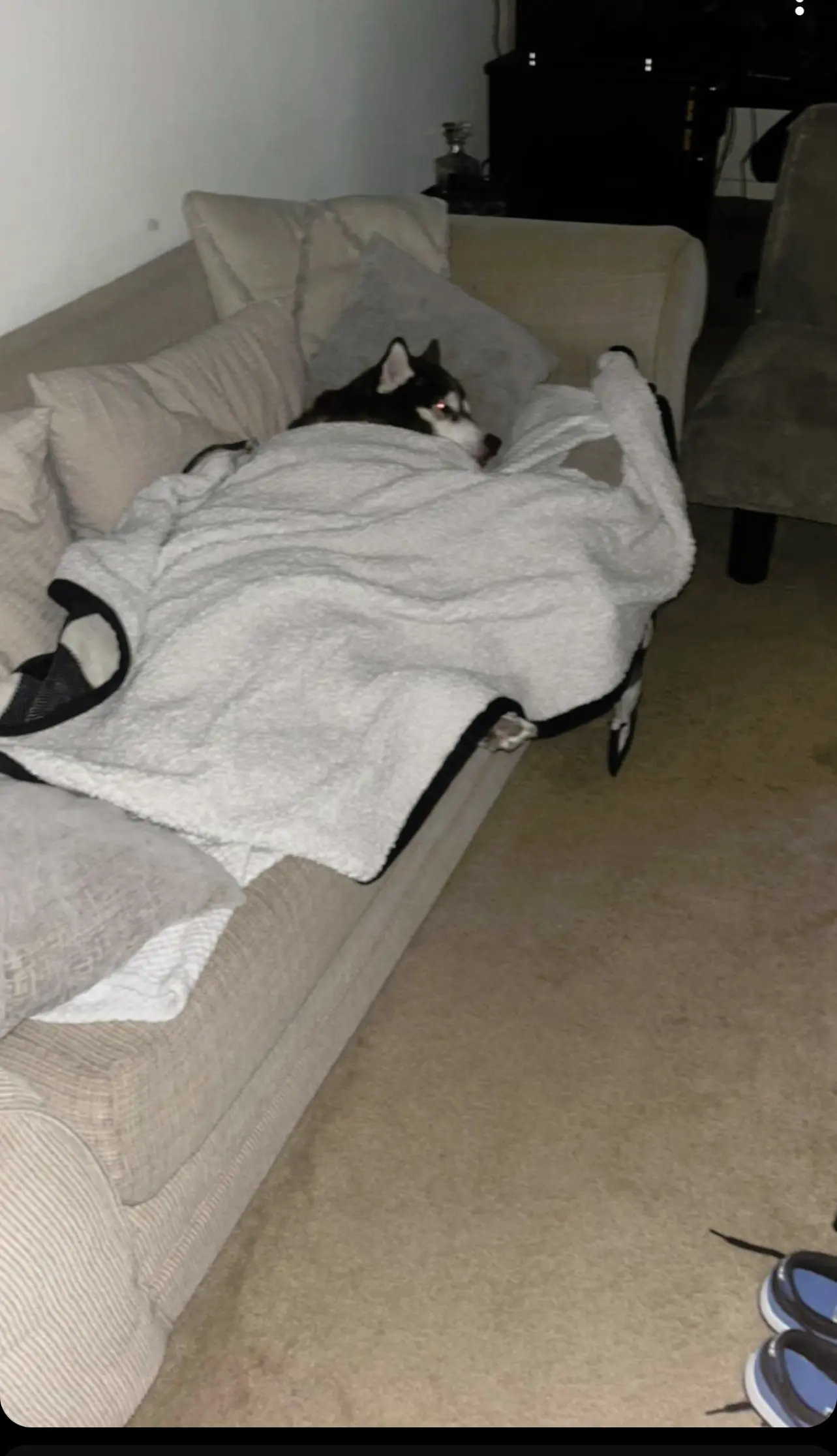 Sleepy Boy Scrolller 7539