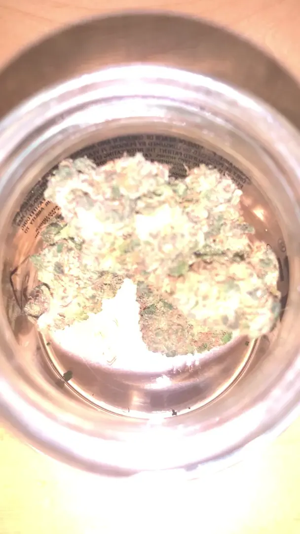 Discover more like Nugs: Slightly Stoopid by NUG and Related Content | Scrolller