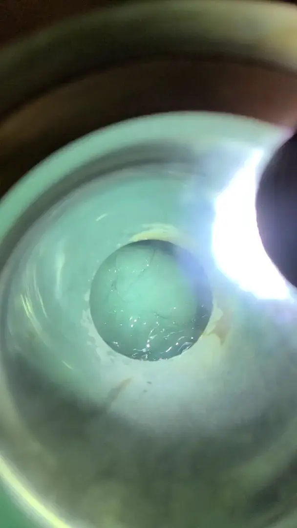 Slow-mo tank mixing | Scrolller