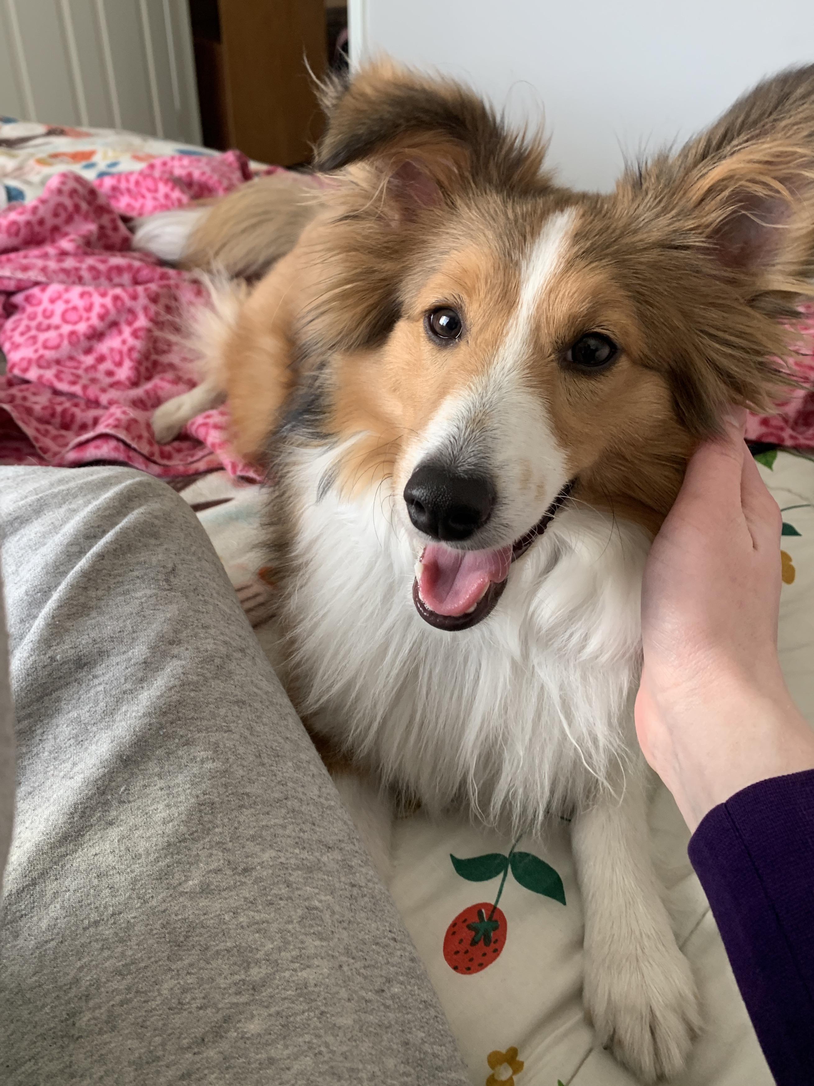 Smiley girl | Scrolller