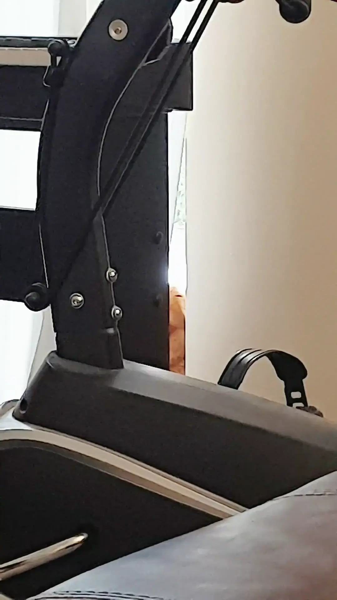 Smol peepe | Scrolller