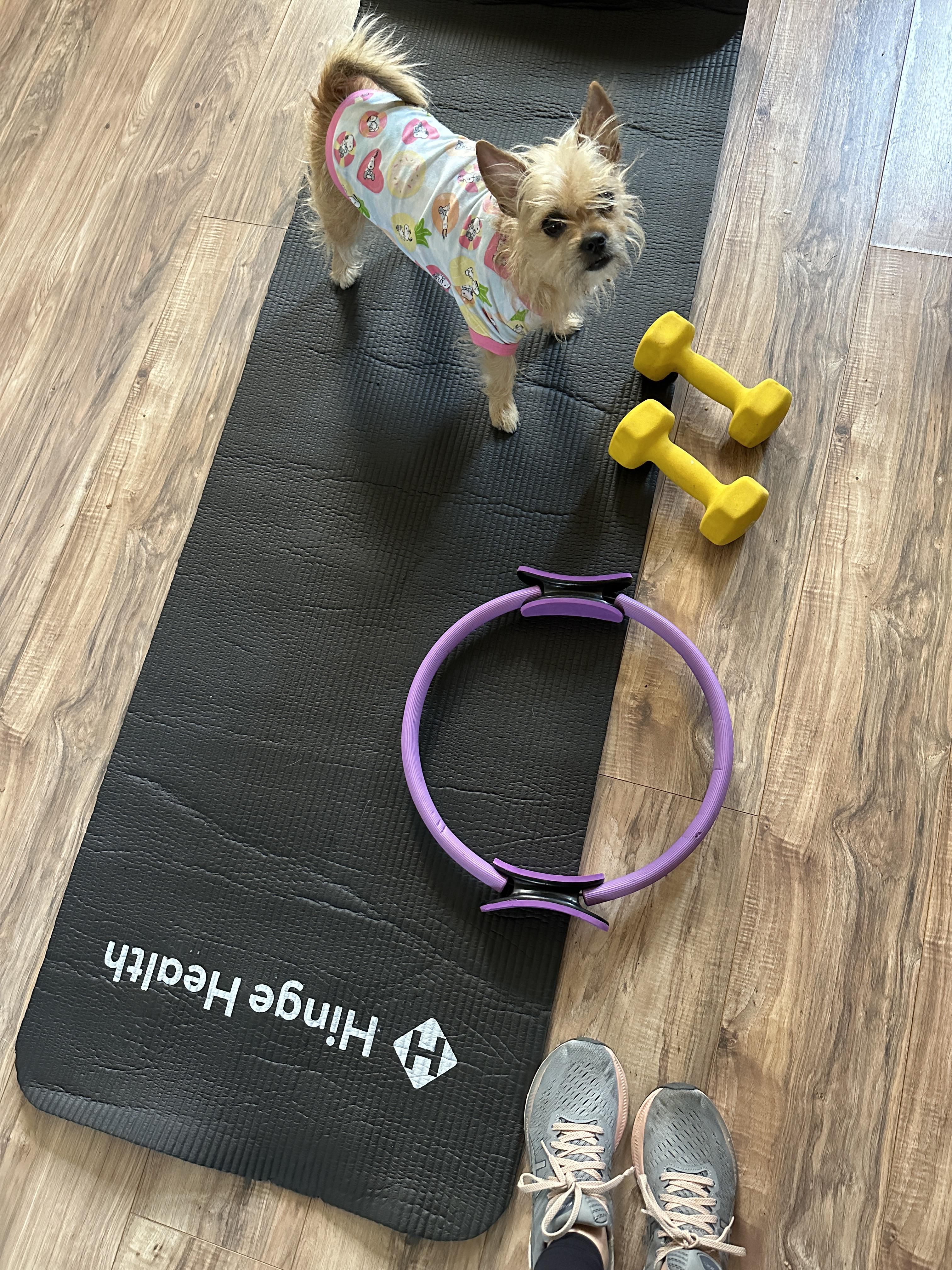 Smol workout buddy | Scrolller