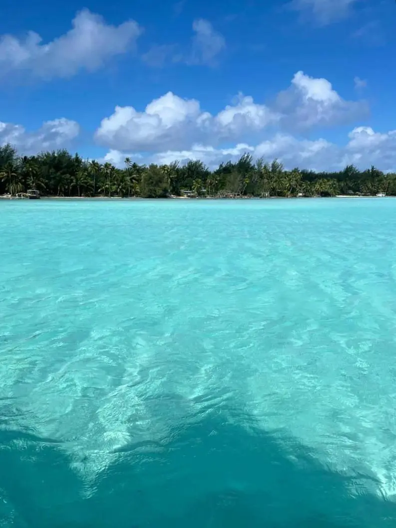 Snorkel trip, Bora Bora | Scrolller
