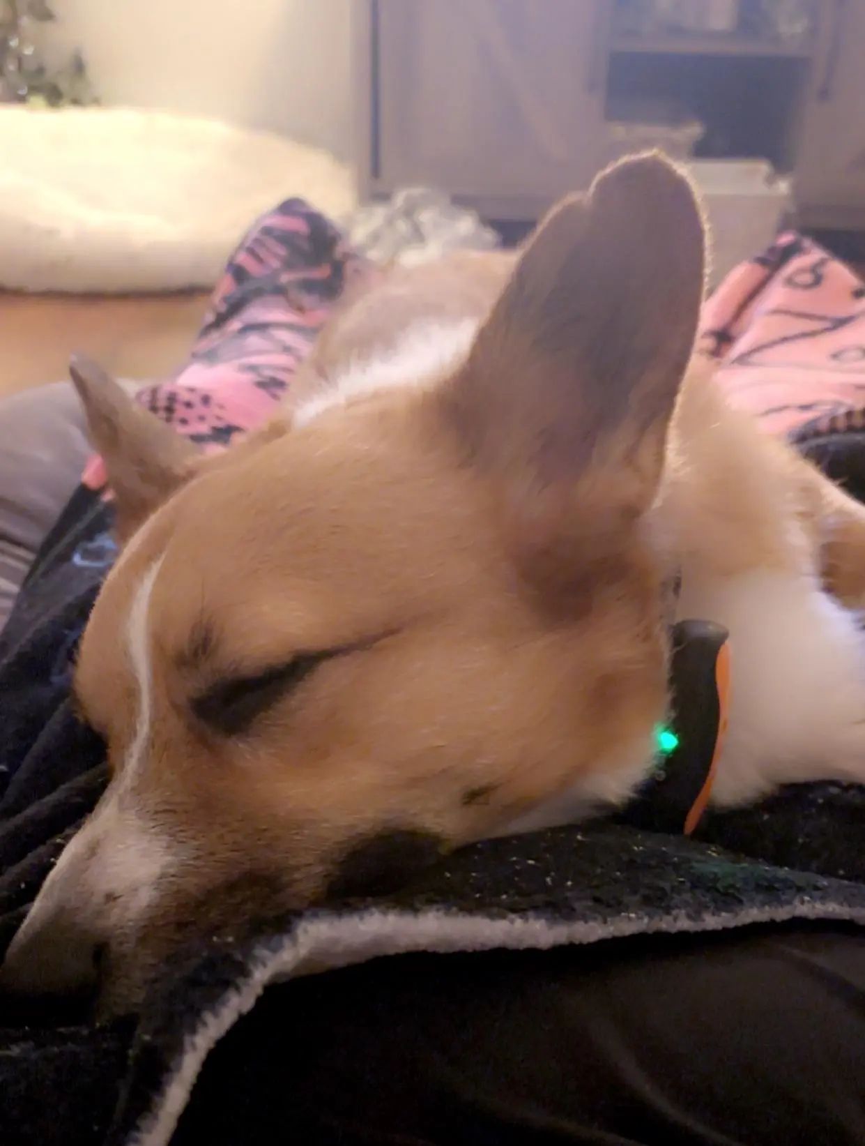 Snuggles with the baby | Scrolller