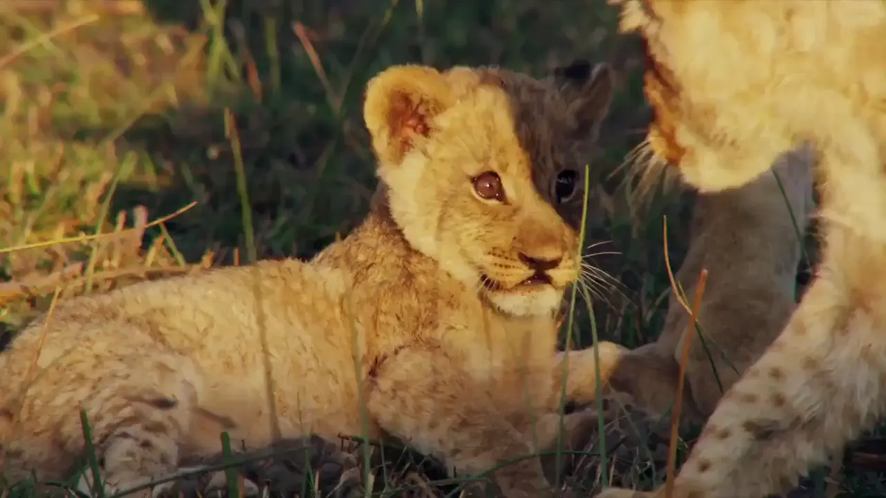 So tiny and so ferocious | Scrolller