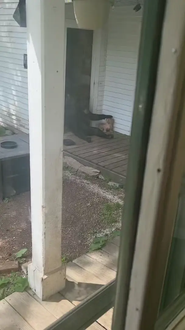 Someone help please! Is this normal behavior? (info in comments) | Scrolller