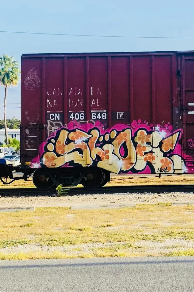 South Texas | Scrolller