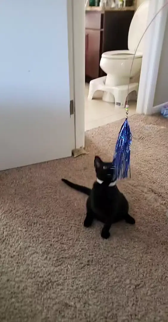 Speed boxing practice | Scrolller