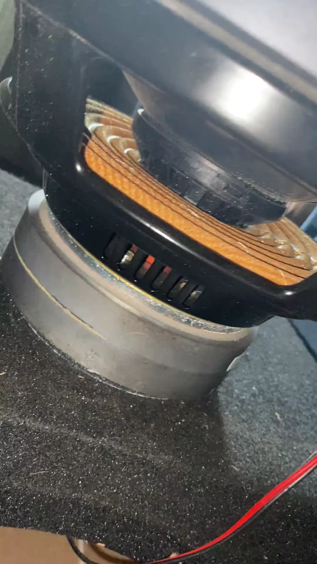 Spider Torn | Scrolller