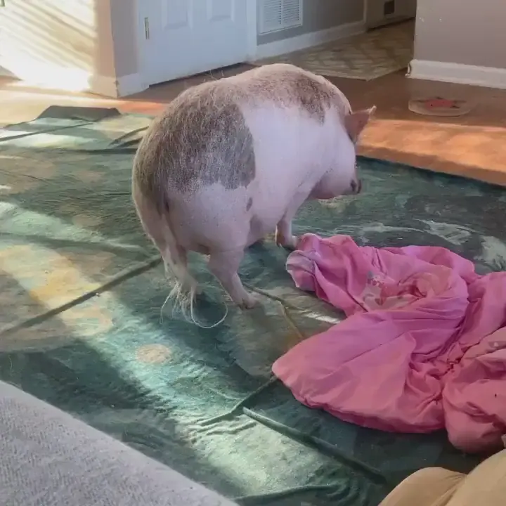 Spinning Around | Scrolller