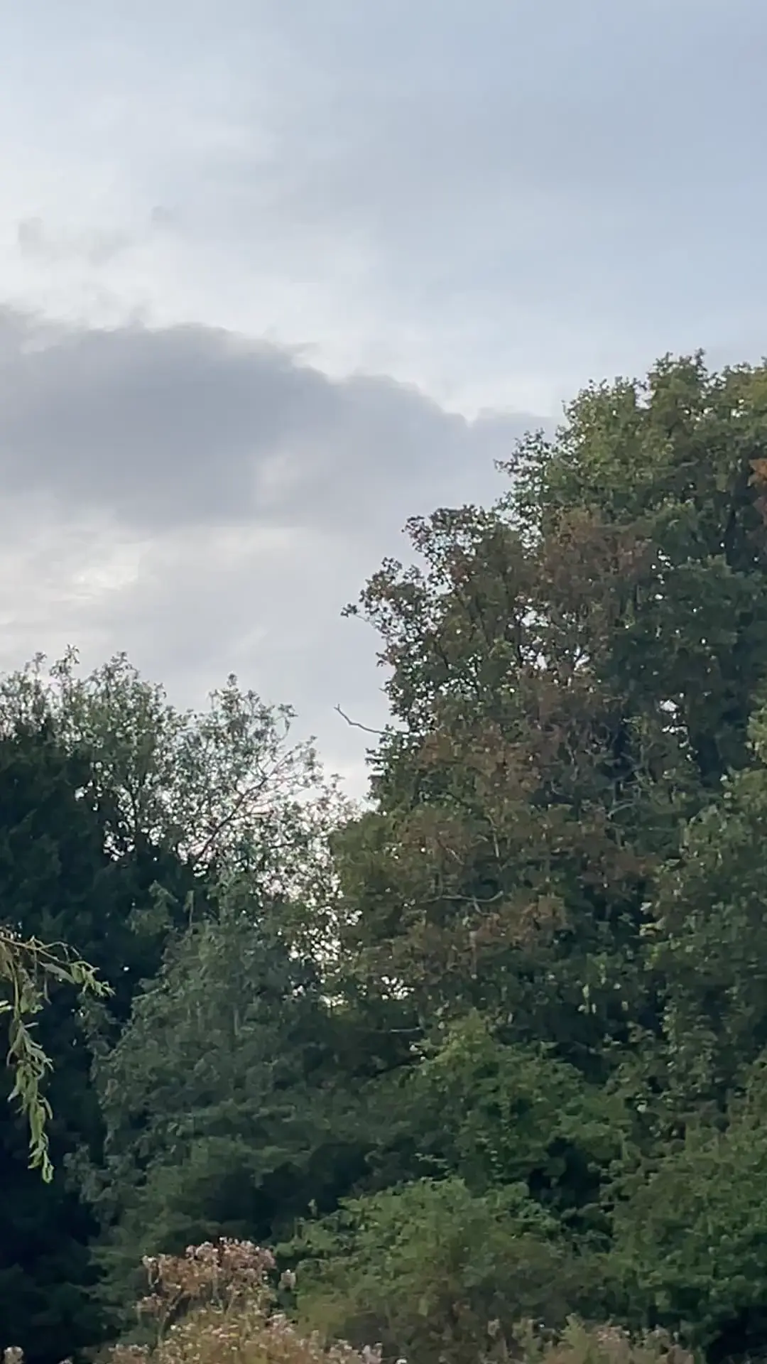 Spitfire buzzing Cambridge! | Scrolller