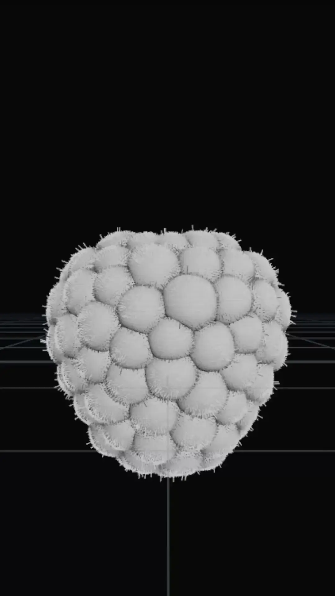 Splash the raspberry | Scrolller