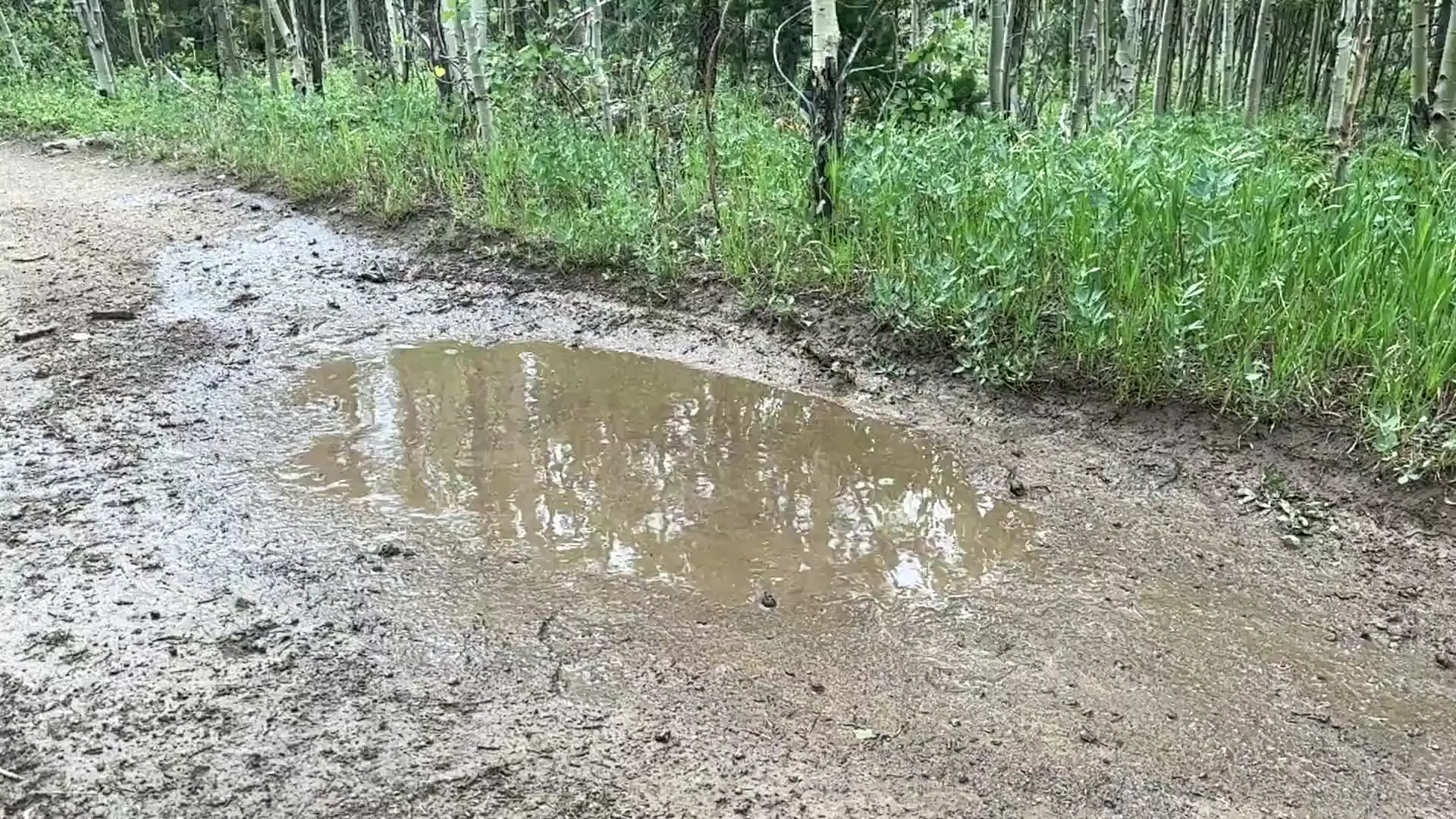 Splish splash | Scrolller